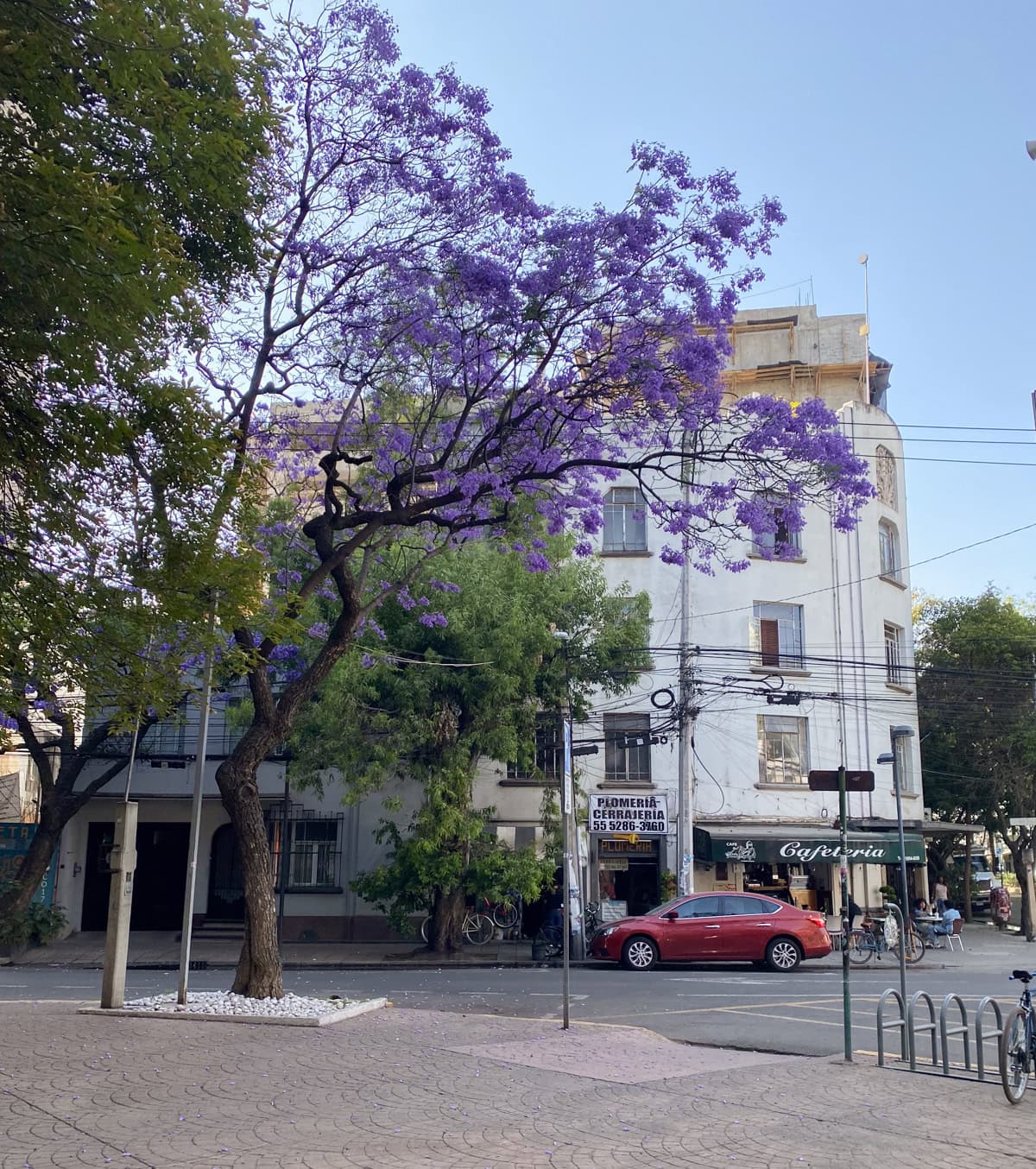 Mexico City in April: Weather & What to Do (2026)